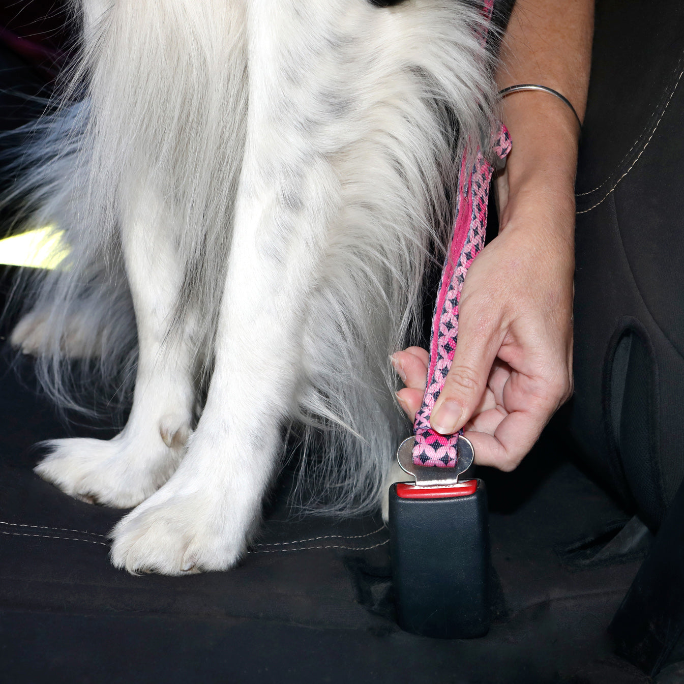 Dog Car Restraints | Adjustable Dog Seat Belts – DOOG (Dog Owners ...