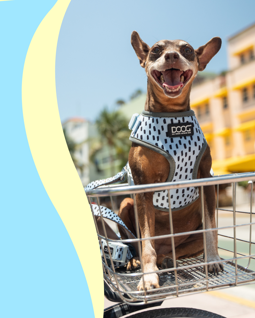 DOOG Official Site - Dog Owners Outdoor Gear – DOOG (Dog Owners Outdoor ...