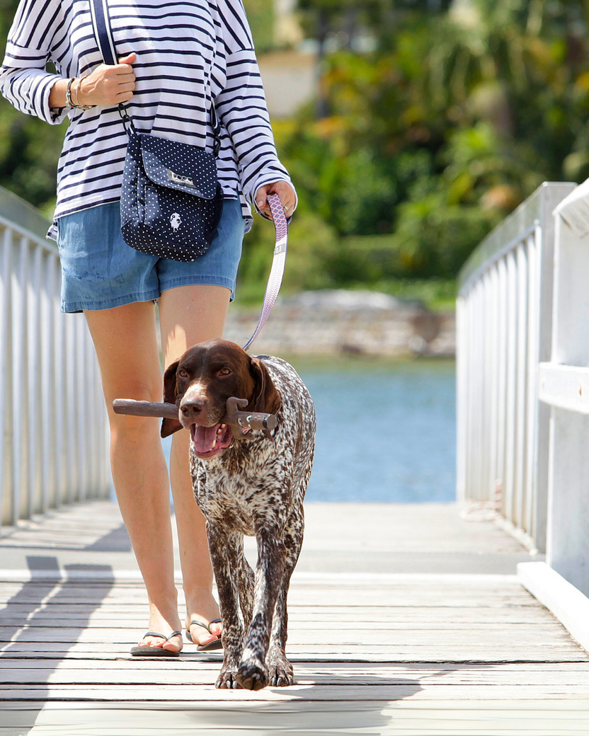 DOOG Official Site - Dog Owners Outdoor Gear – DOOG (Dog Owners Outdoor ...