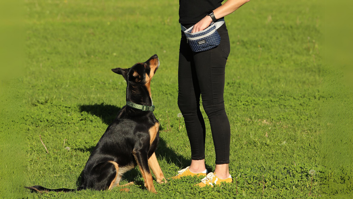 DOOG Official Site - Dog Owners Outdoor Gear – DOOG (Dog Owners Outdoor ...