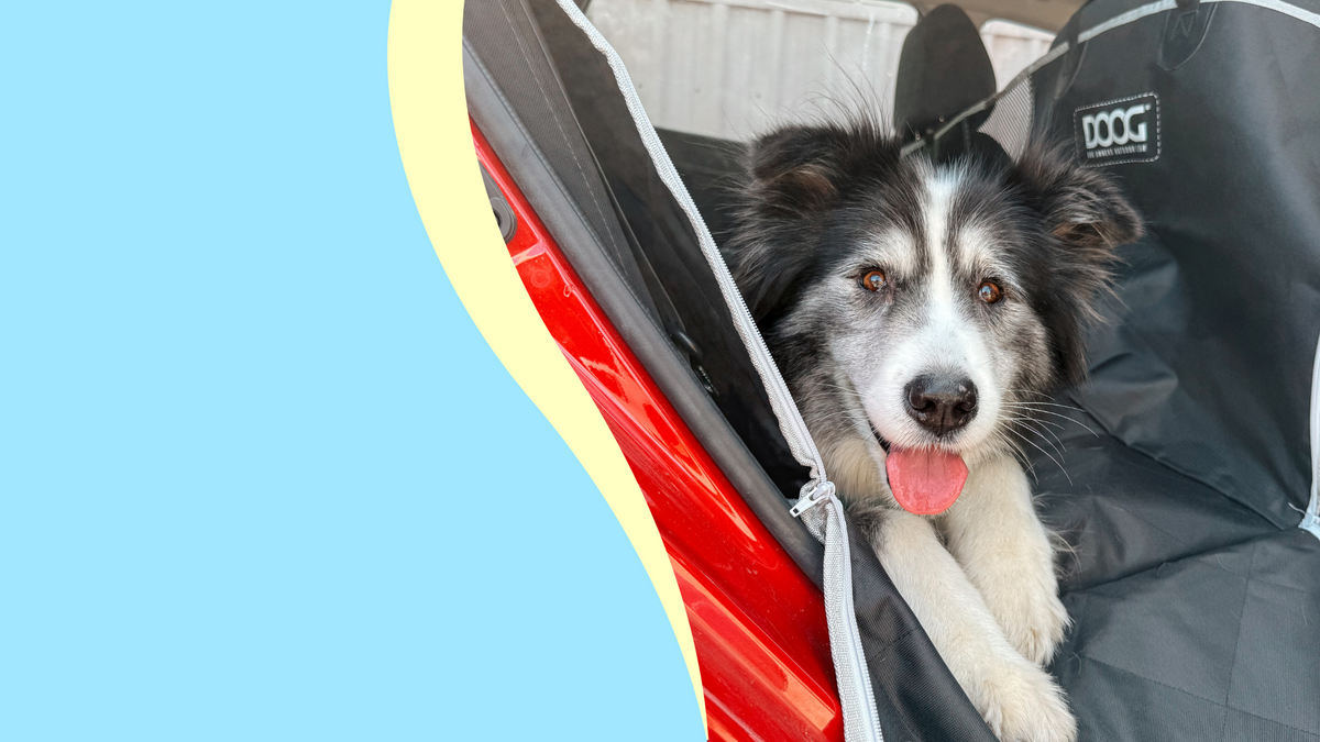 DOOG Official Site - Dog Owners Outdoor Gear – DOOG (Dog Owners Outdoor ...