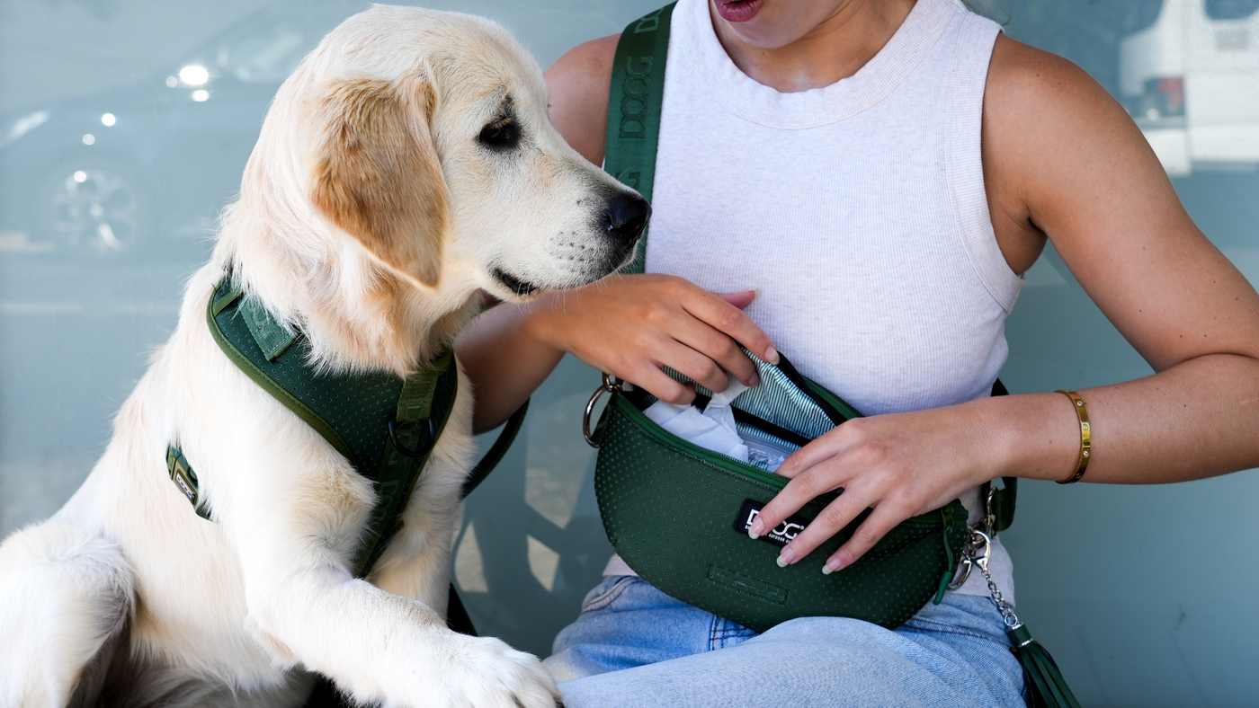 DOOG Official Site - Dog Owners Outdoor Gear – DOOG (Dog Owners Outdoor ...