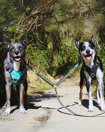 DOOG Official Site - Dog Owners Outdoor Gear – DOOG (Dog Owners Outdoor ...