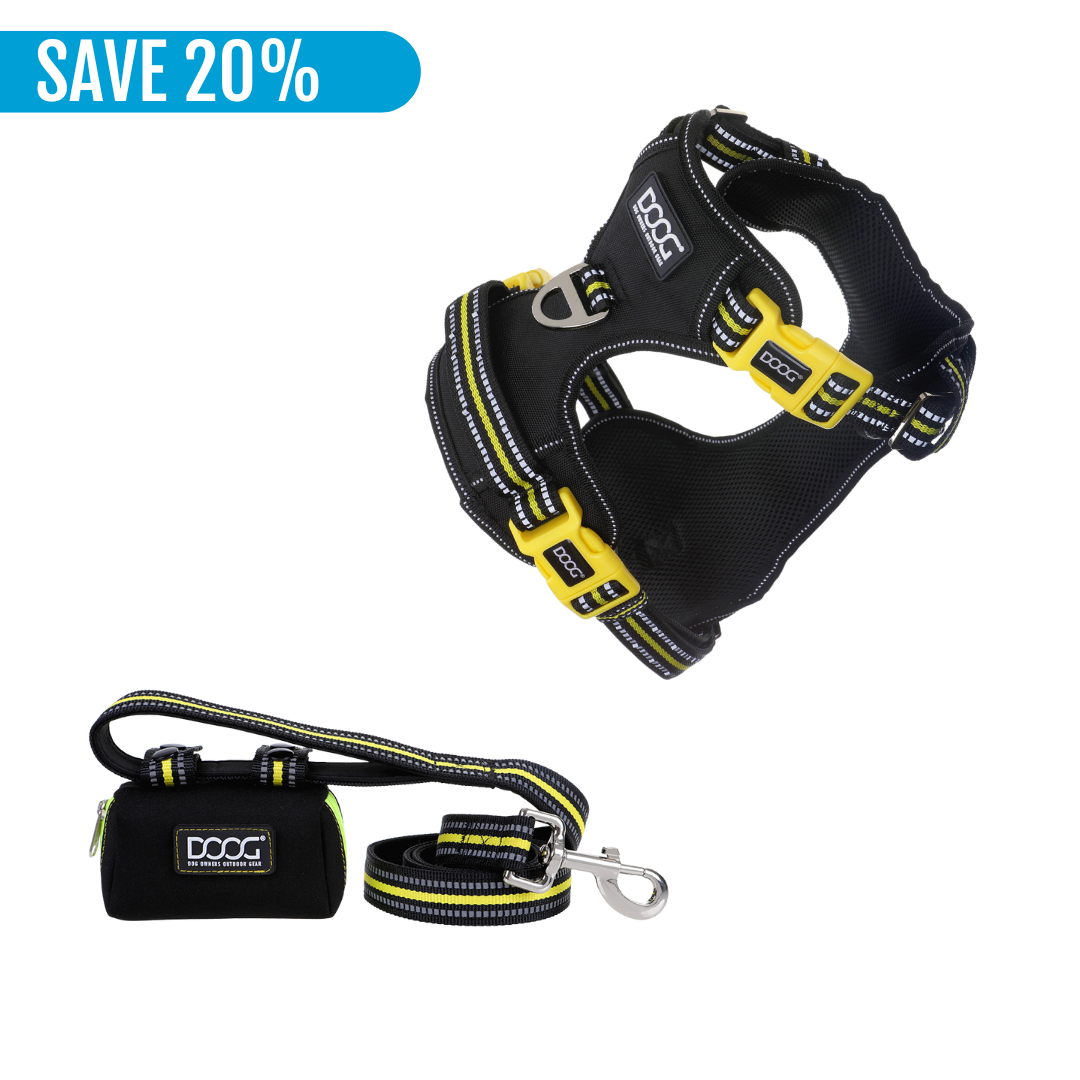 Sunset Walks Bundle – DOOG (Dog Owners Outdoor Gear)