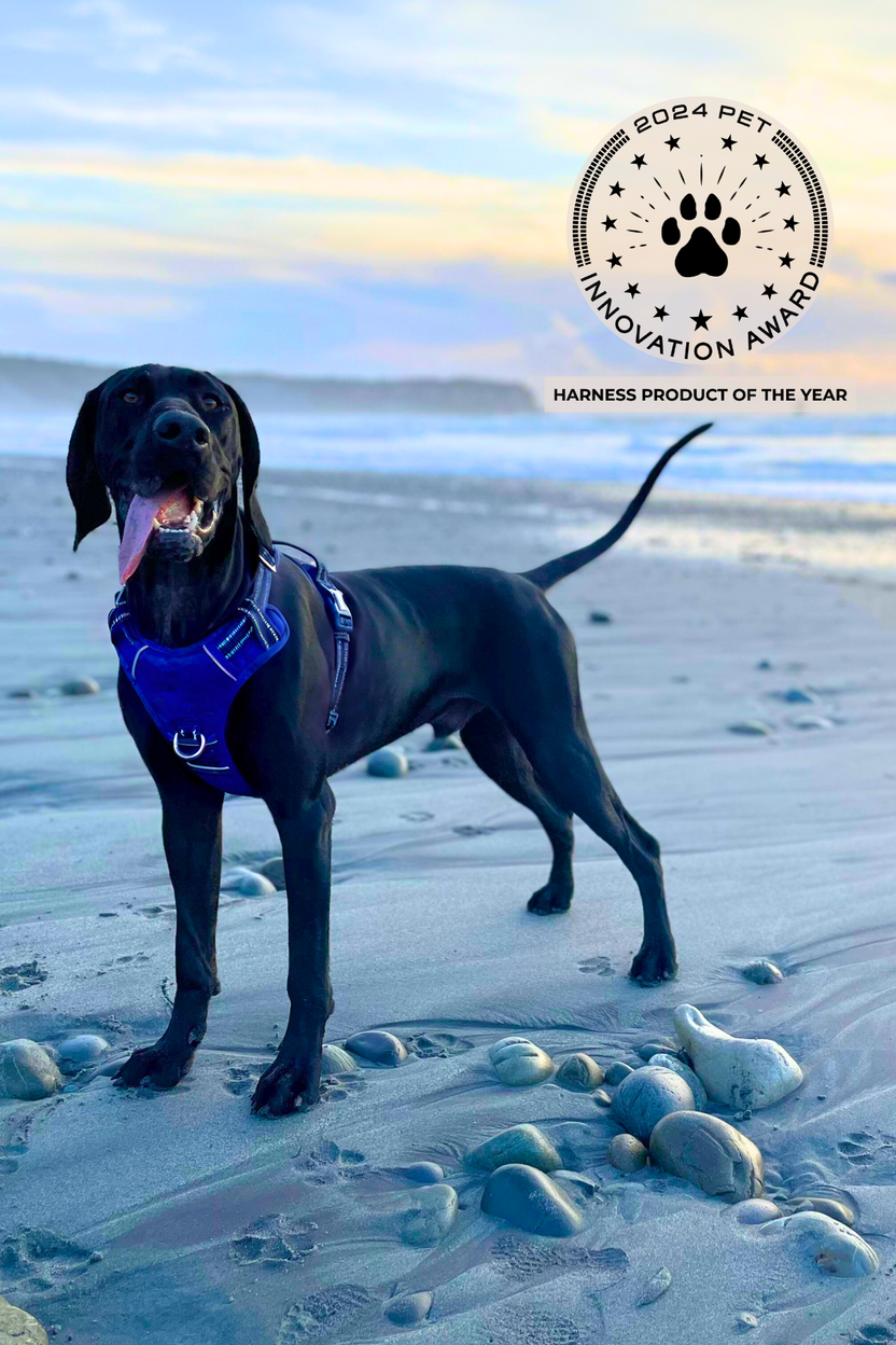 DOOG Official Site - Dog Owners Outdoor Gear – DOOG (Dog Owners Outdoor ...