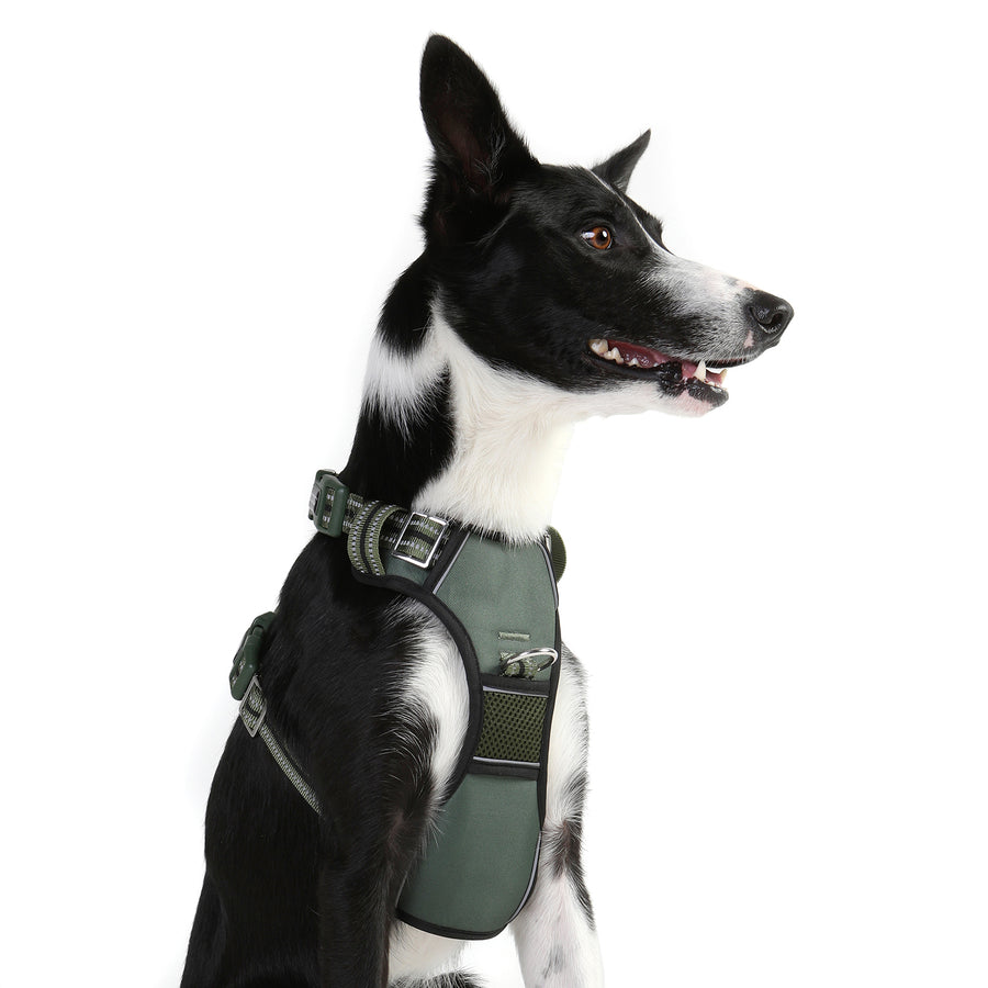 Dog Harnesses | Waterproof & Adjustable | DOOG Australia – DOOG (Dog ...