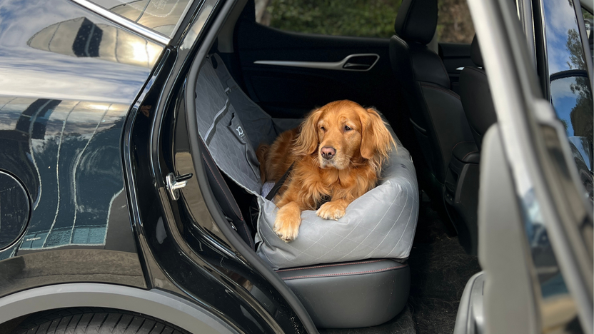 DOOG Official Site - Dog Owners Outdoor Gear – DOOG (Dog Owners Outdoor ...