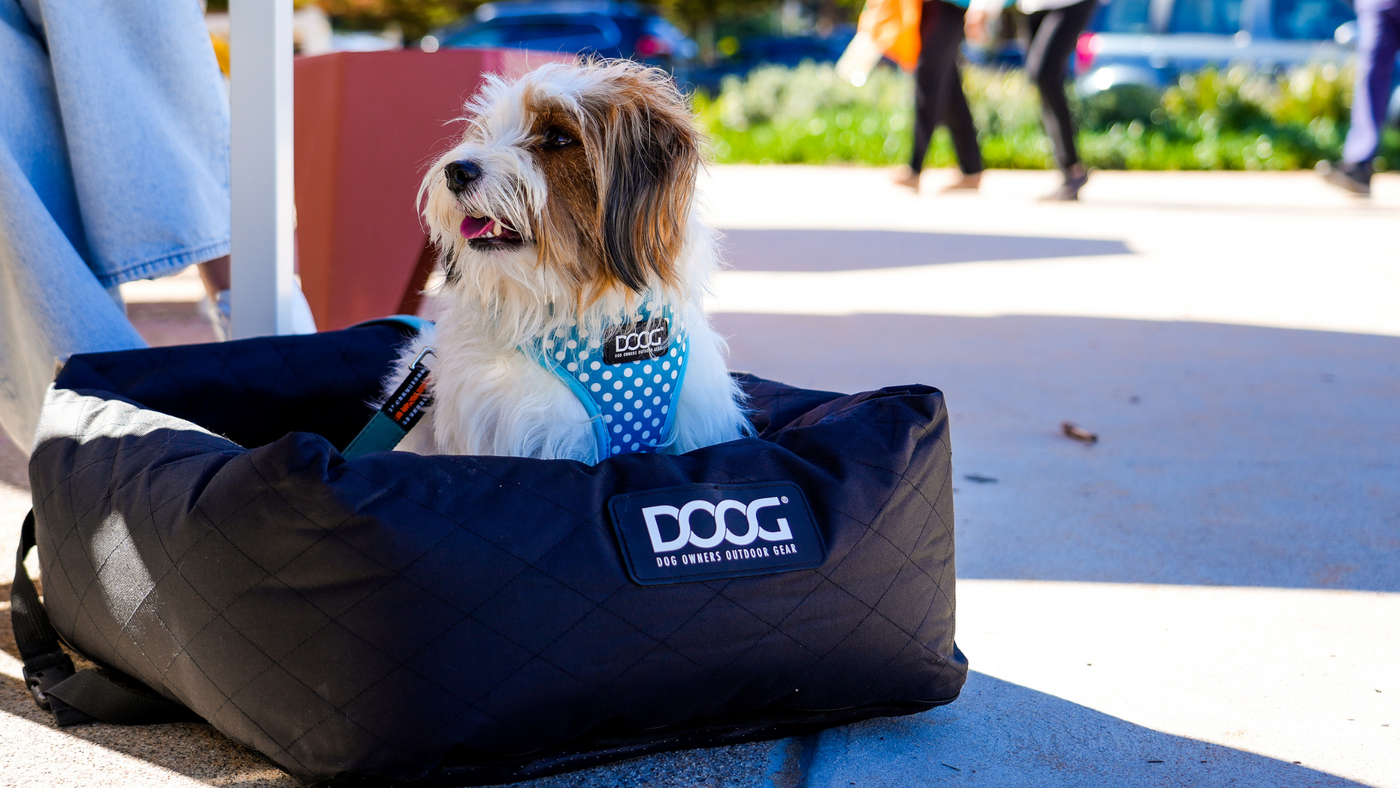 DOOG Official Site - Dog Owners Outdoor Gear – DOOG (Dog Owners Outdoor ...