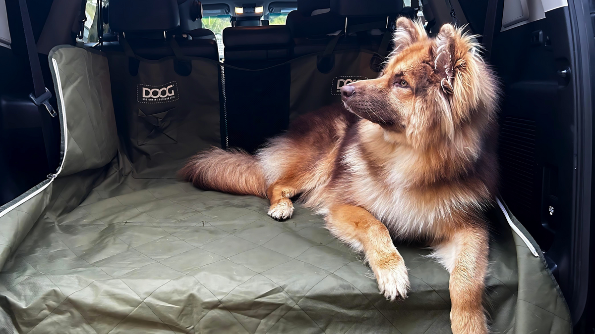 DOOG Official Site - Dog Owners Outdoor Gear – DOOG (Dog Owners Outdoor ...