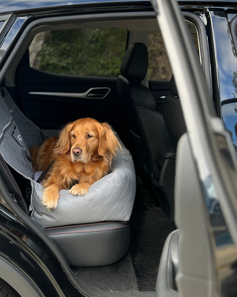 DOOG Official Site - Dog Owners Outdoor Gear – DOOG (Dog Owners Outdoor ...
