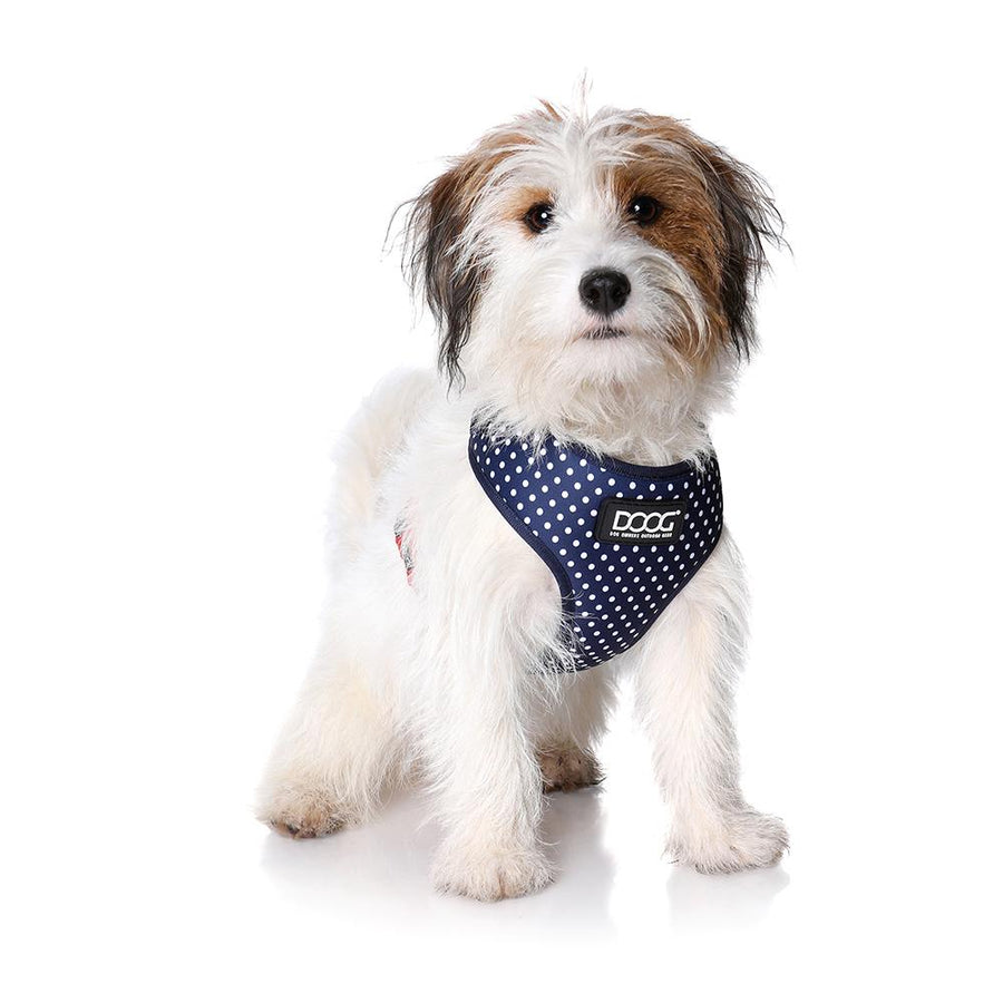 Dog Harnesses | Waterproof & Adjustable | DOOG Australia – DOOG (Dog ...
