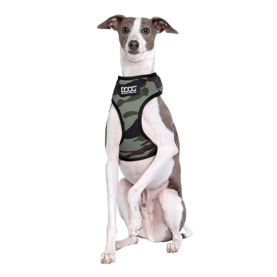 DOOG Sale - Shop the specials and save – DOOG (Dog Owners Outdoor Gear)