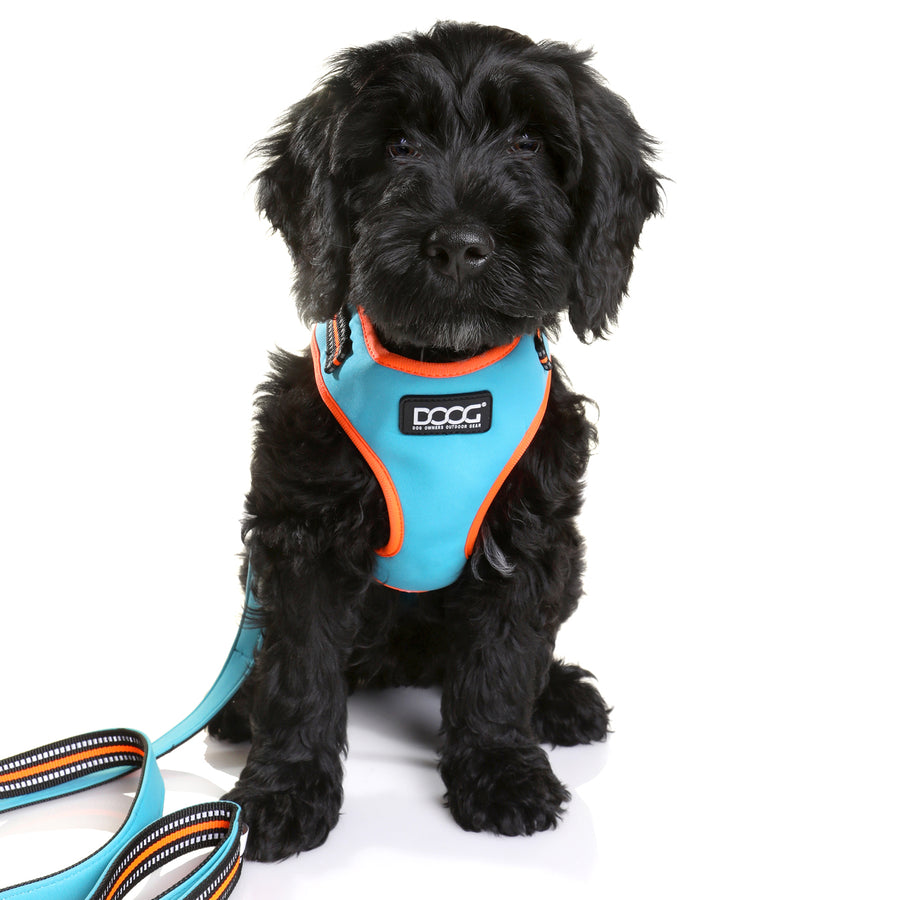 Dog Harnesses | Waterproof & Adjustable | DOOG Australia – DOOG (Dog ...